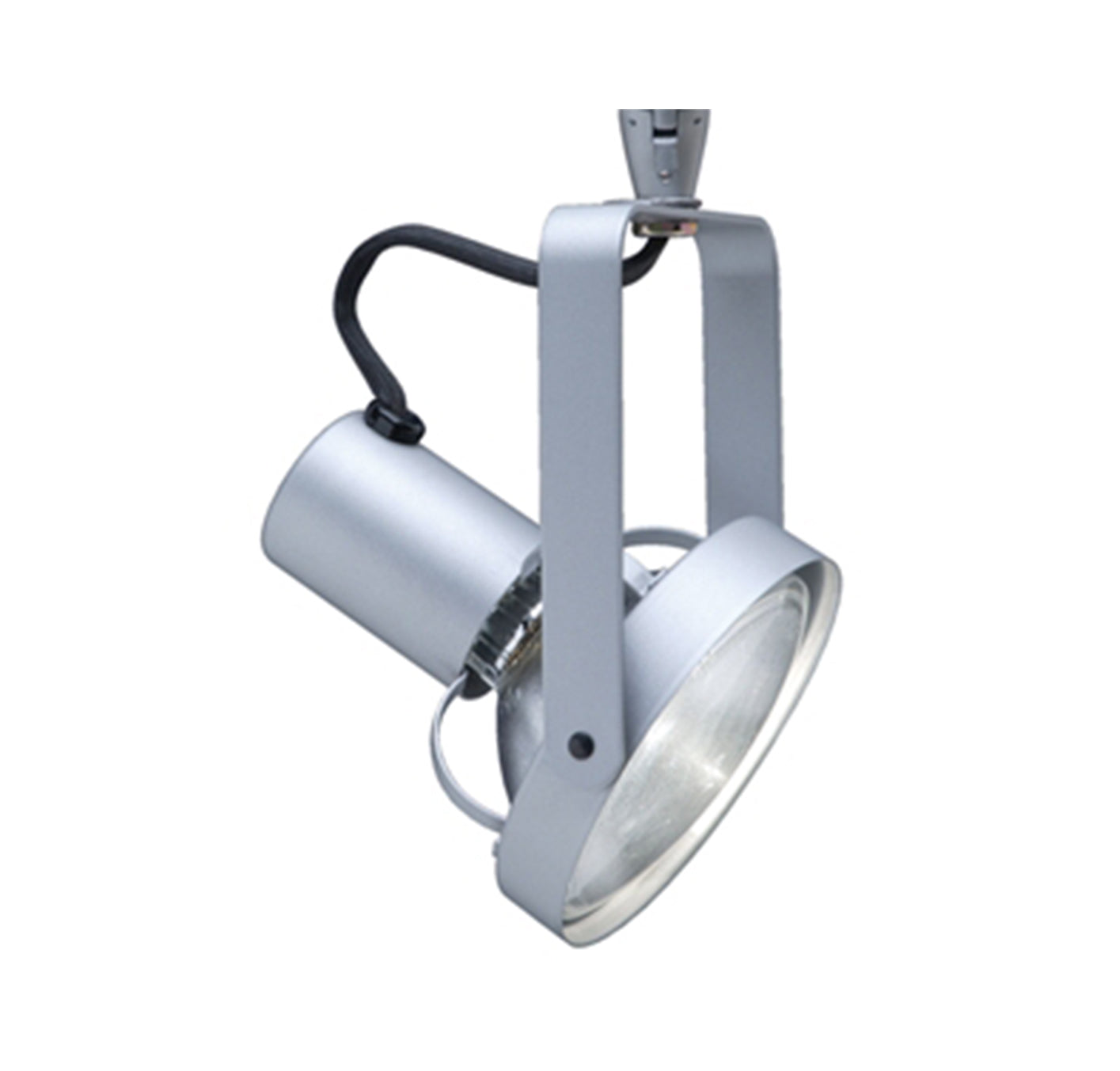 PAR30 Track Light | Gimbal Mounted Spot Front loading lamp