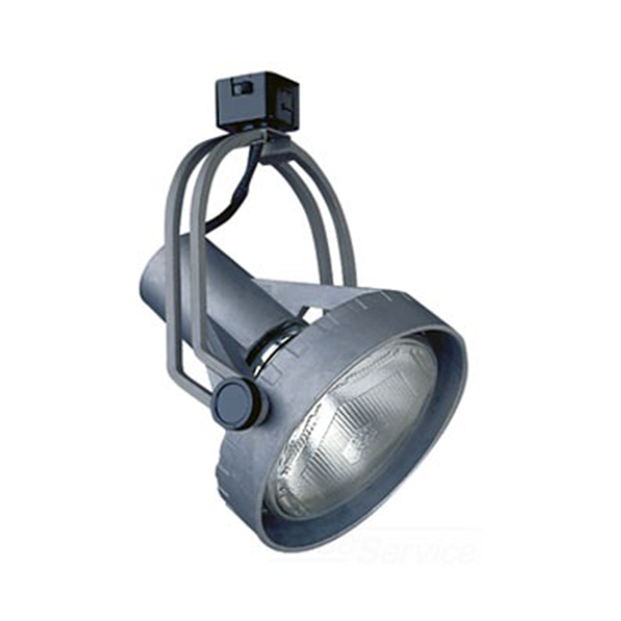 Incandescent Line Voltage Track Light | CTL8030 | DS&L
