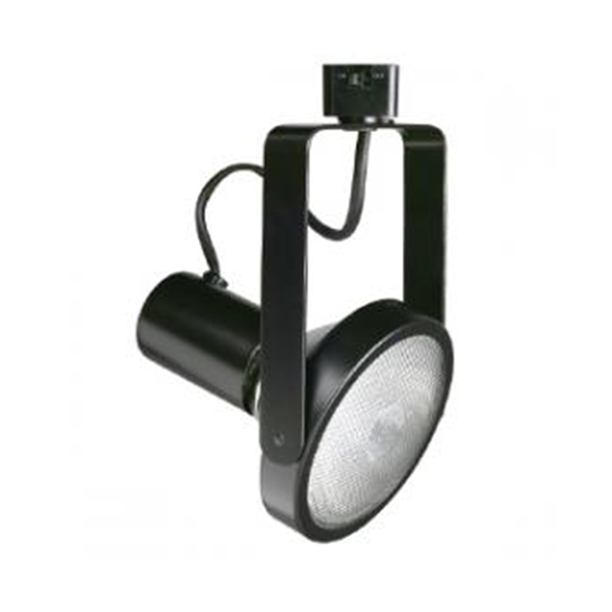 Track Light CTL838/2 | PAR38 Slim Style Gimbal | DS&L
